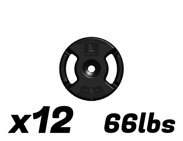 Small weight plates 2.5kg, 5.5 pound weight plates | Step Fitness